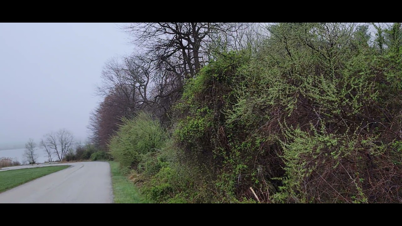 STRUBLE LAKE - YouTube