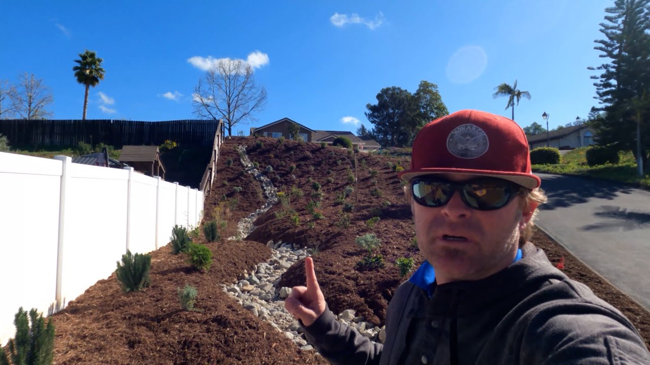 Cultivating Diversity: Turning a simple slope into a Flourishing ...