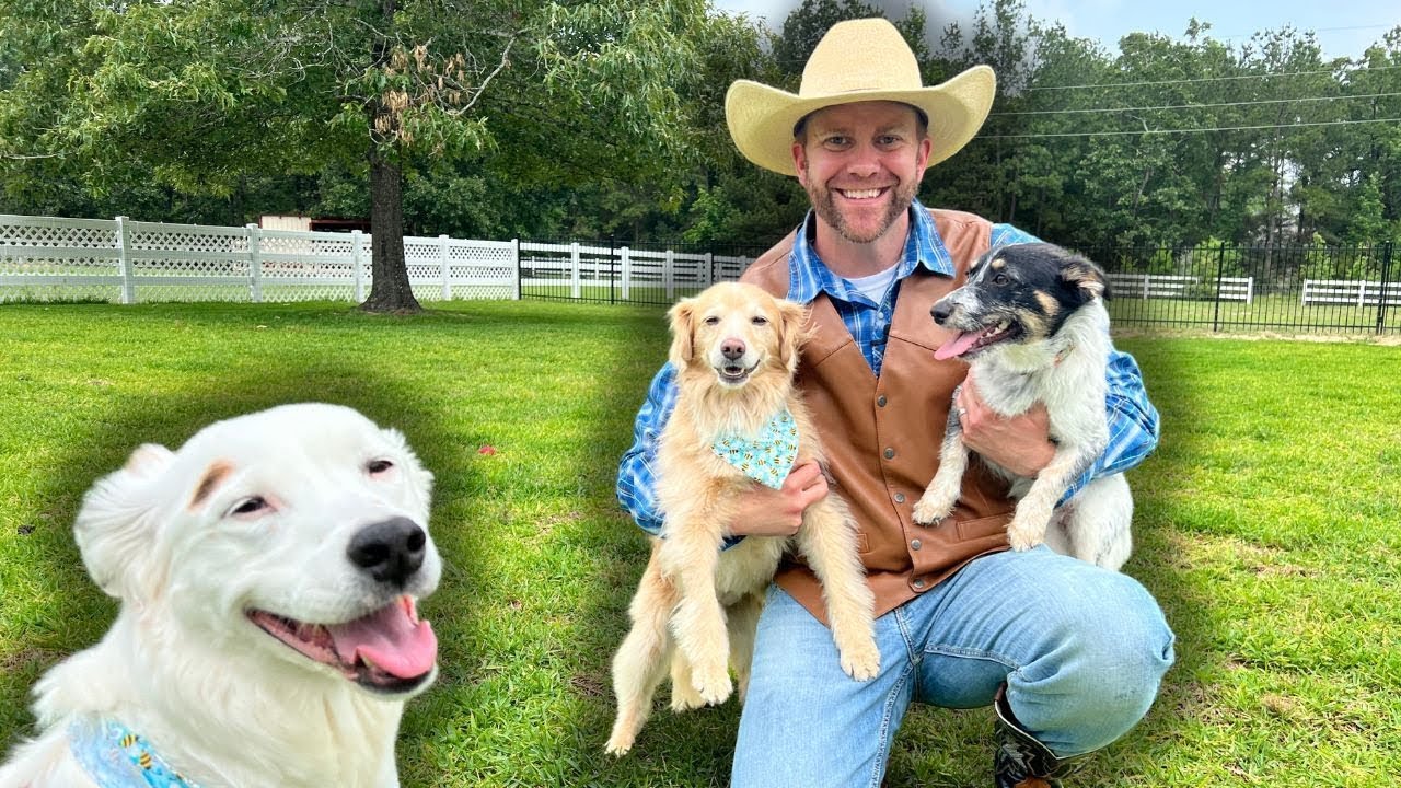 Introducing My Adorable New Pup! Come Join The Fun Dog Day For Kids ...