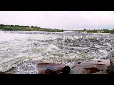 Manjeera dam water flow..... - YouTube