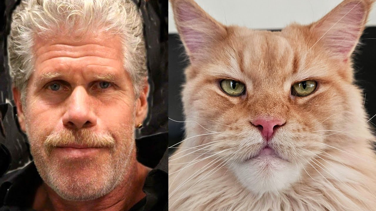 Ron Perlman Looks Like Me (Music Video) - DJ Buster - YouTube