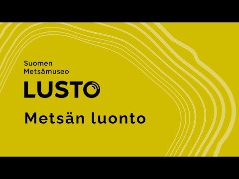 Suomen Metsämuseo Lusto - Metsän luonto