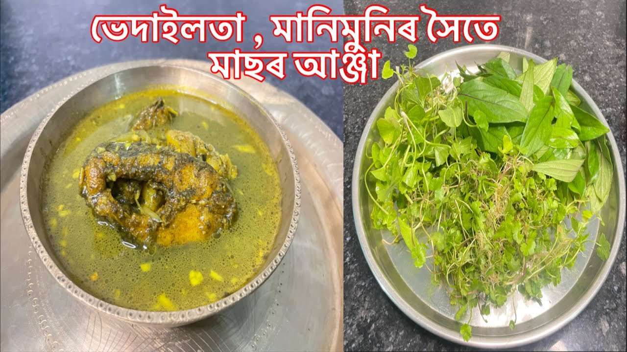 ভেদাইলতা,মানিমুনিৰ সৈতে মাছৰ আঞ্জা | Assamese Fish Curry | Bhedailota ...