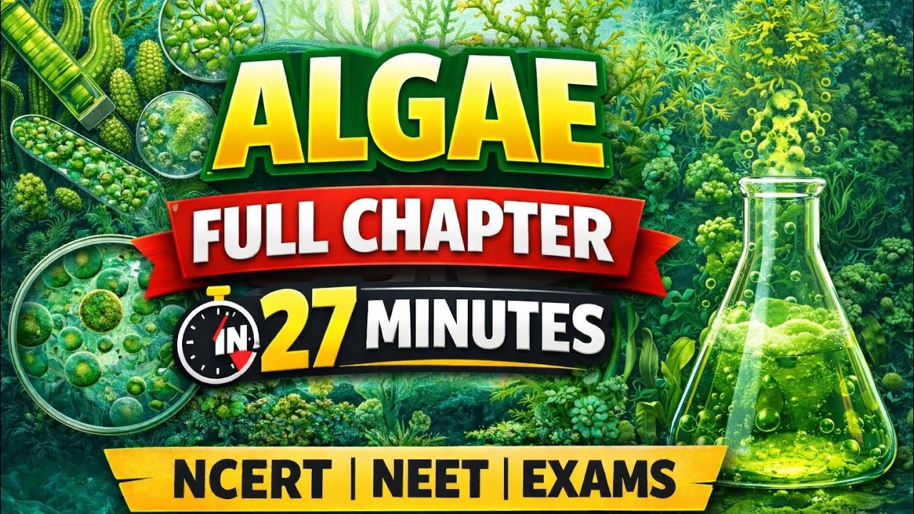 Algae in 27 Minutes 🔥 | NCERT Biology | Concept Clarity Guaranteed ...