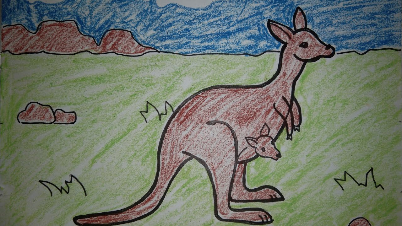 Hou to draw a kanguru - YouTube
