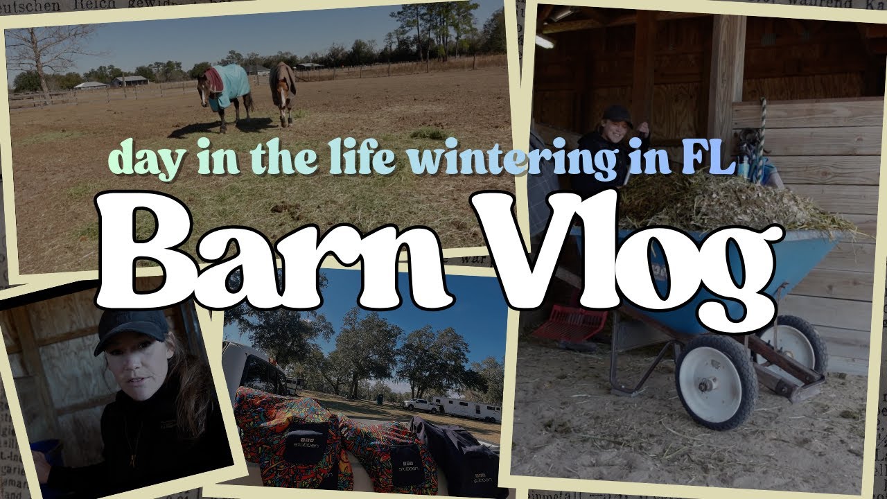 DAY IN THE LIFE • Around the Barn Chores & Caring for the Horses ...