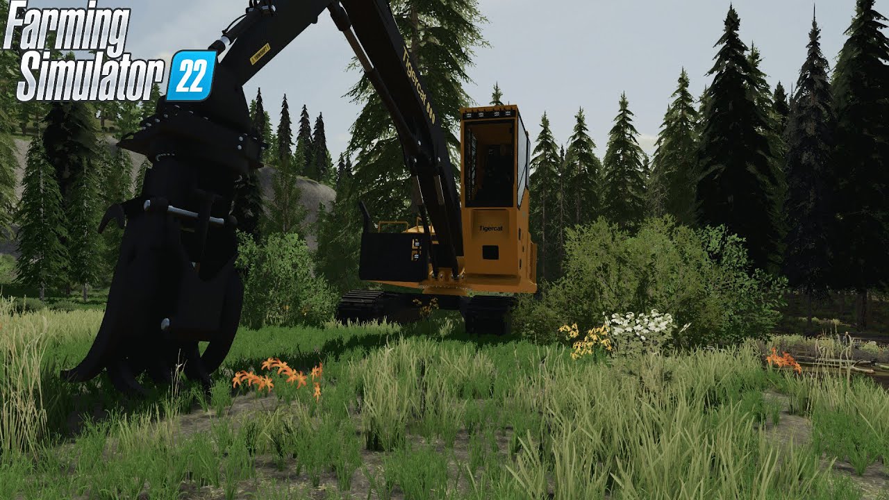 FS22 | logging timelapse | Green River Valley #4 | The first load - YouTube