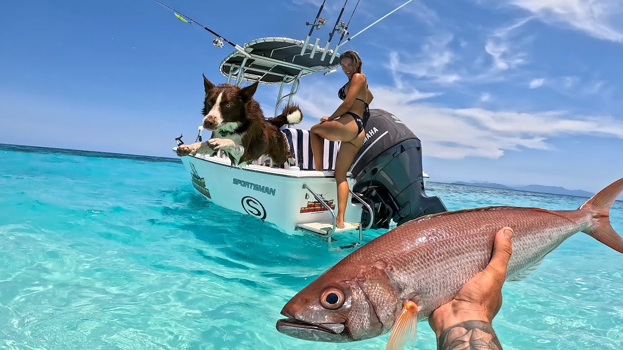 Fishing the GREAT BARRIER REEF | (catch & cook) what is this fish ...