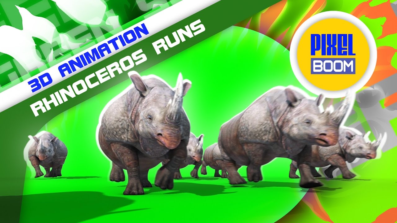 Green Screen Group of Rhinoceros Runs - Footage PixelBoom - YouTube