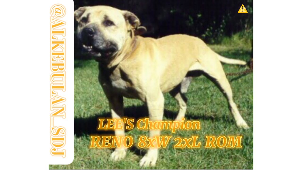 LEE'S CH RENO 8xW 2xL ROM - YouTube