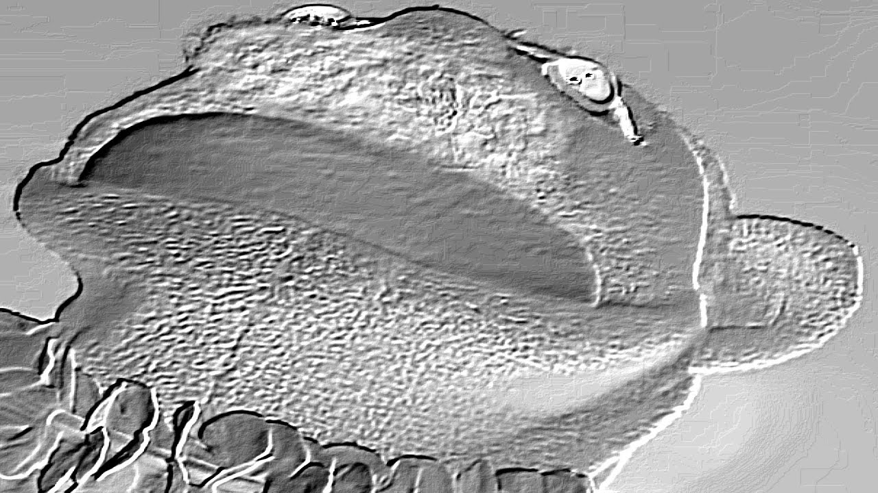 DEATH!!! | SML Movie Final Destination! (By @SMLMovies) - YouTube