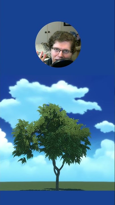 Creating a Foliage Shader in Unity URP! Grass, Trees, Flowers #Shorts Preview | Game Dev ...