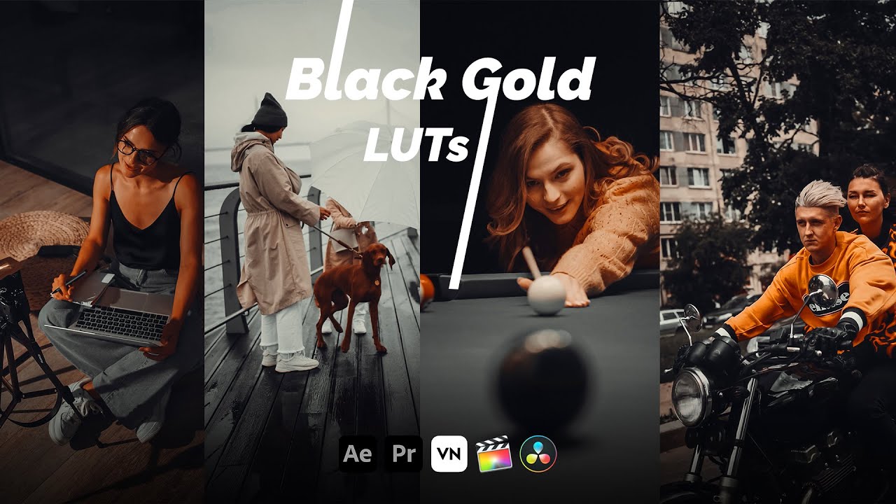 Black Gold Lut | Black Moody Lut | Black Lut | Black Lut For VN | VN ...