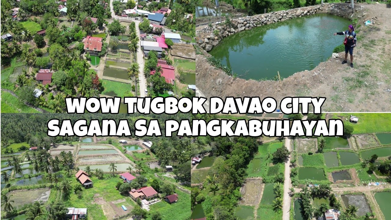 TUGBOK DAVAO CITY GANITO PALA KAGANDA DITO. - YouTube