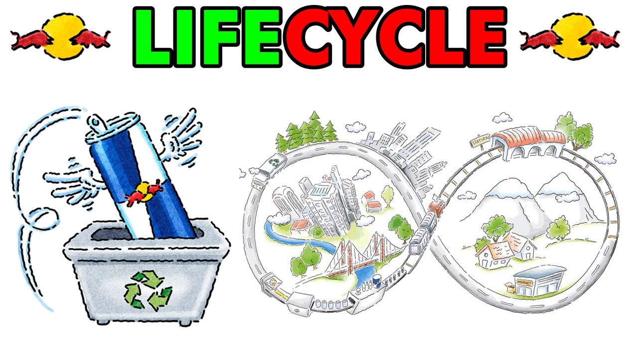 ♻️ "LIFECYCLE" - 🥤⚡ Red Bull gives you wings. - YouTube