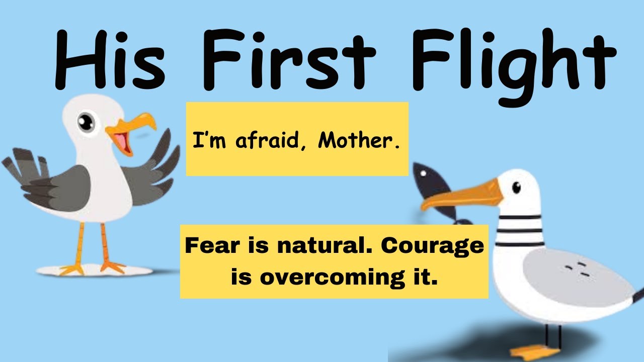 Write a Conversation Between Young And Mother Seagull ...Dialogue ...