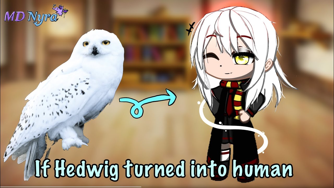If Hedwig turned into human / Harry Potter GCMM / By MD Nyra - YouTube