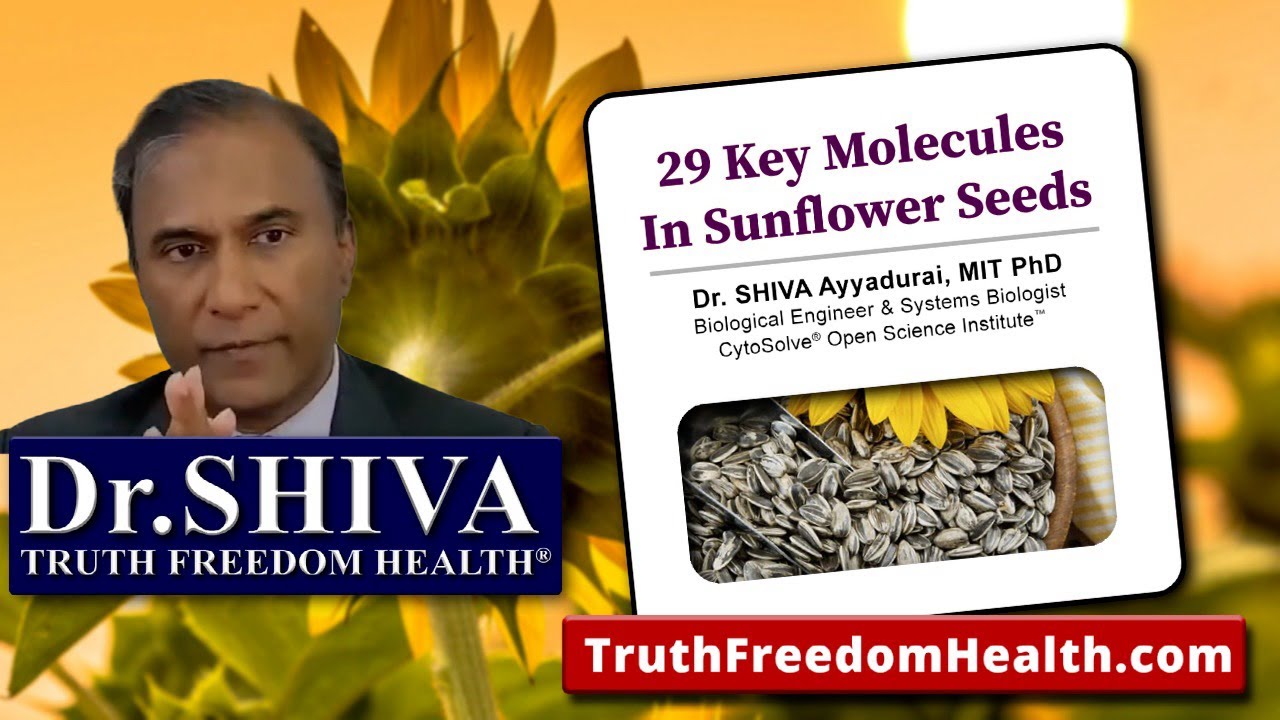 Dr.SHIVA: Nutrients In Sunflower Seeds - The 29 Key Molecules. - YouTube