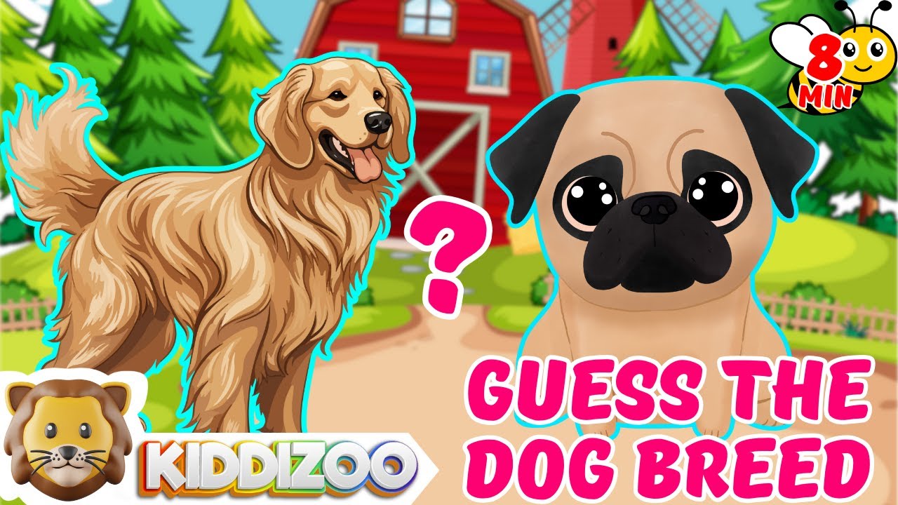 Guess the Dog Breed for Kids | Naming Type of Dogs in 5 Seconds - YouTube