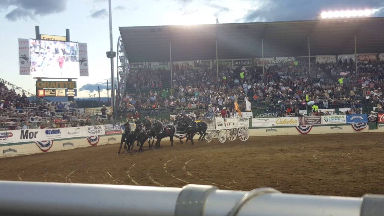 2016 Reno Rodeo - Percheron Thunder pt1 - YouTube