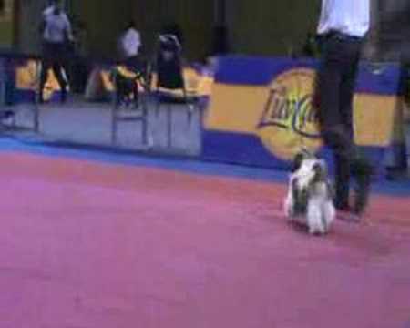 John(Creative's Too Hot Too Sweet)from Varo/Tasya