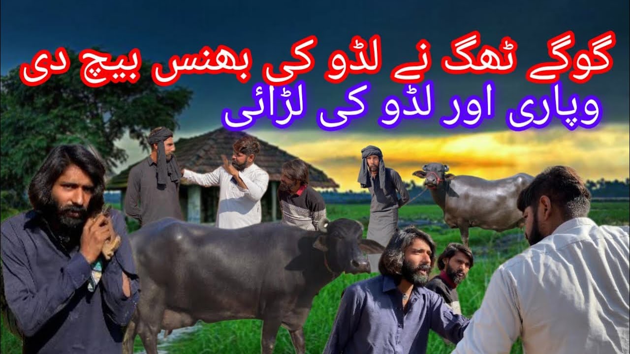 Gogay Thaag Nay Ladu Ki Behans Bech Di | Very Funny Video 😂😂🔥🔥 | T.K ...