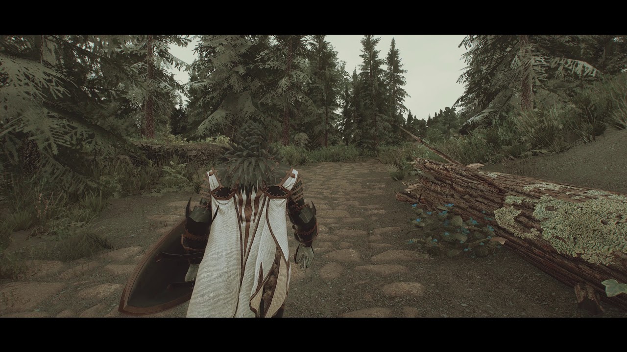 SKYRIM SE Ultra Modded 4K 2020: Best Next Gen Graphics Photorealistic 🔥 ...
