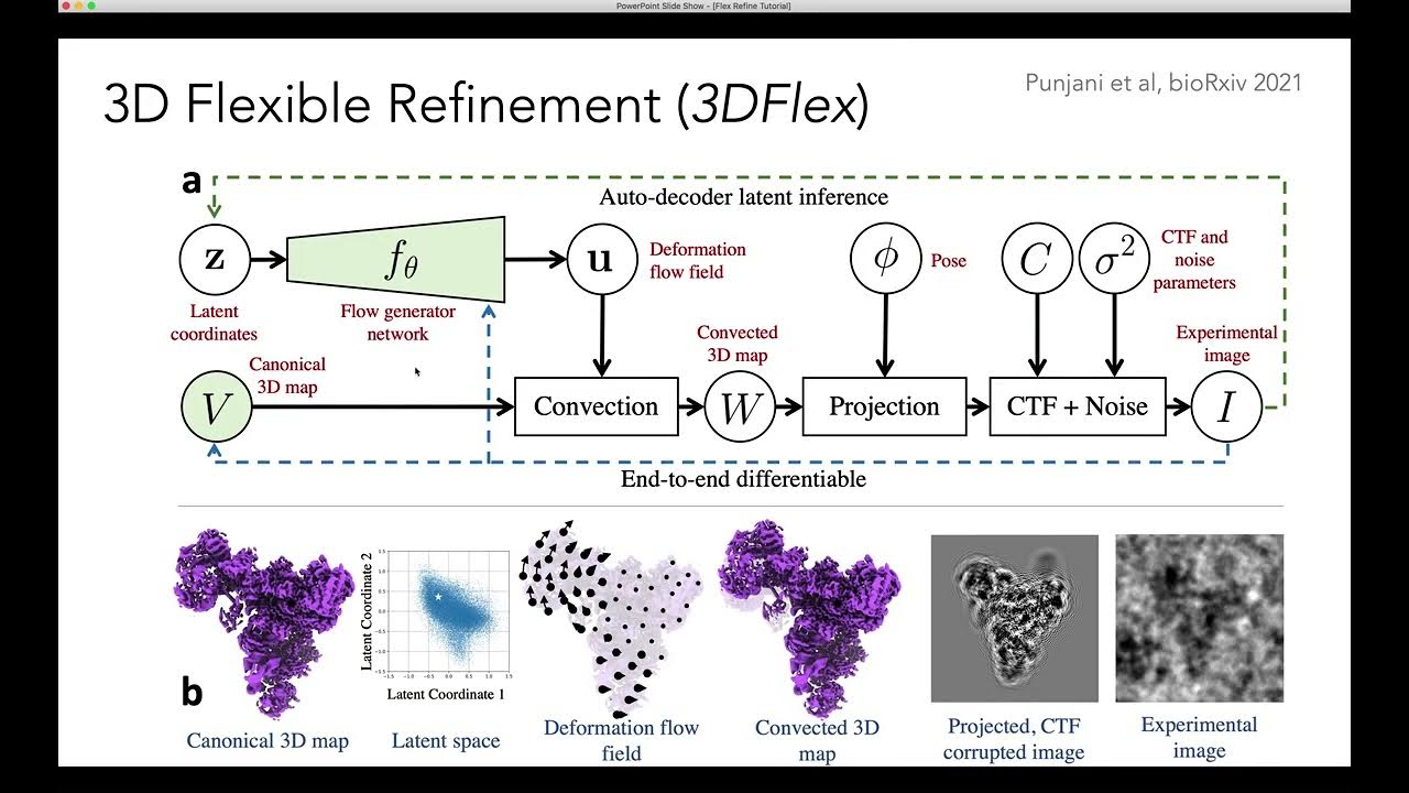 CryoSPARC 3D Flexible Refinement Tutorial - YouTube