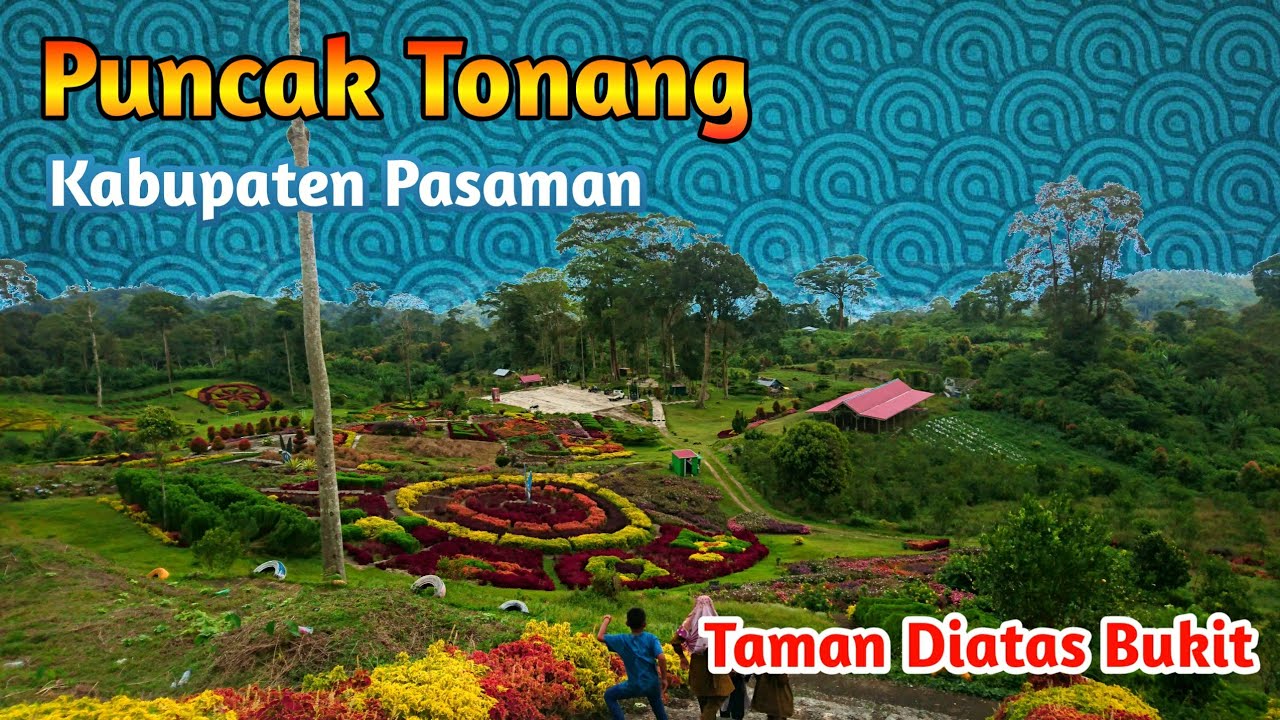 PUNCAK TONANG!! TAMAN DIATAS BUKIT - YouTube