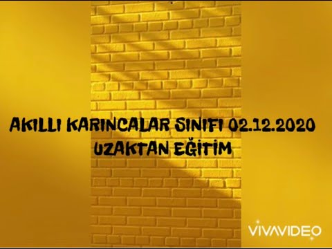 AKILLI KARINCALAR SINIFI 02.12.2020 UZAKTAN EĞİTİM