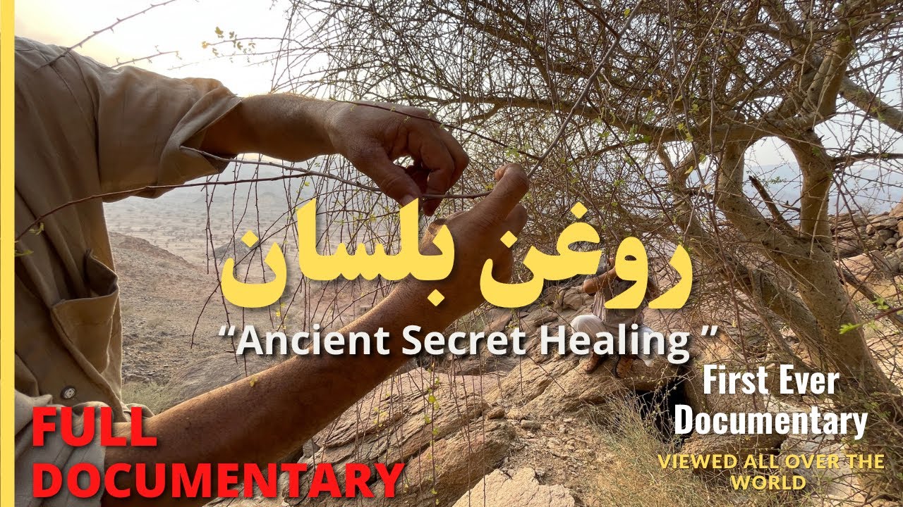 Roghan e Balsan Benefits - Documentary "A Secret Healing "- روغن بلسان ...