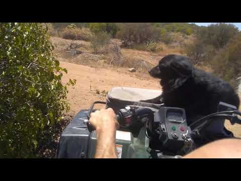 Riding in my back yard in the mountains Bankhead Springs CA - YouTube