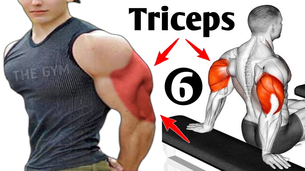 6 BEST Exercises for Big Triceps Workout At Gym - YouTube