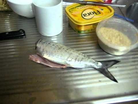 Dance of the Headless Fish - YouTube