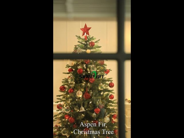 Aspen Fir Christmas Trees