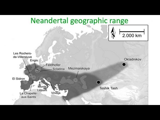 Australopithecus Sediba Map