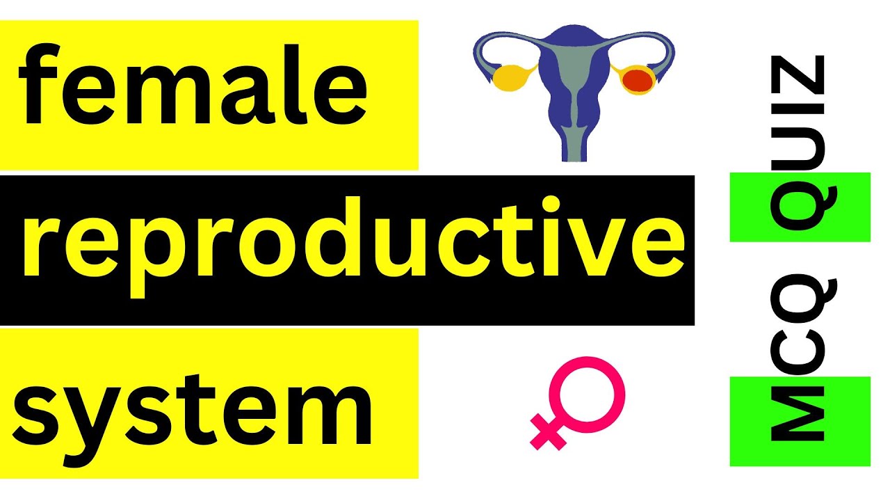 Female Reproductive System MCQs | Multiple Choice Questions | SNB | # ...