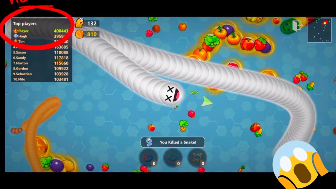 Snake Lite - Worm Snake Gameplay 🐍🎉 HIGH Score🔥 || first 🥇Rank - YouTube