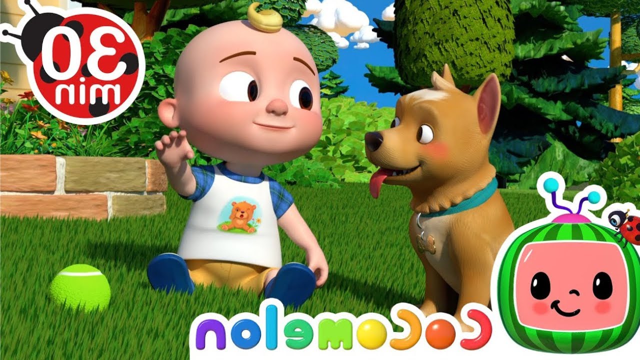 Pet Care + 30 Minutes of Cocomelon | Kids Cartoons & Nursery Rhymes ...