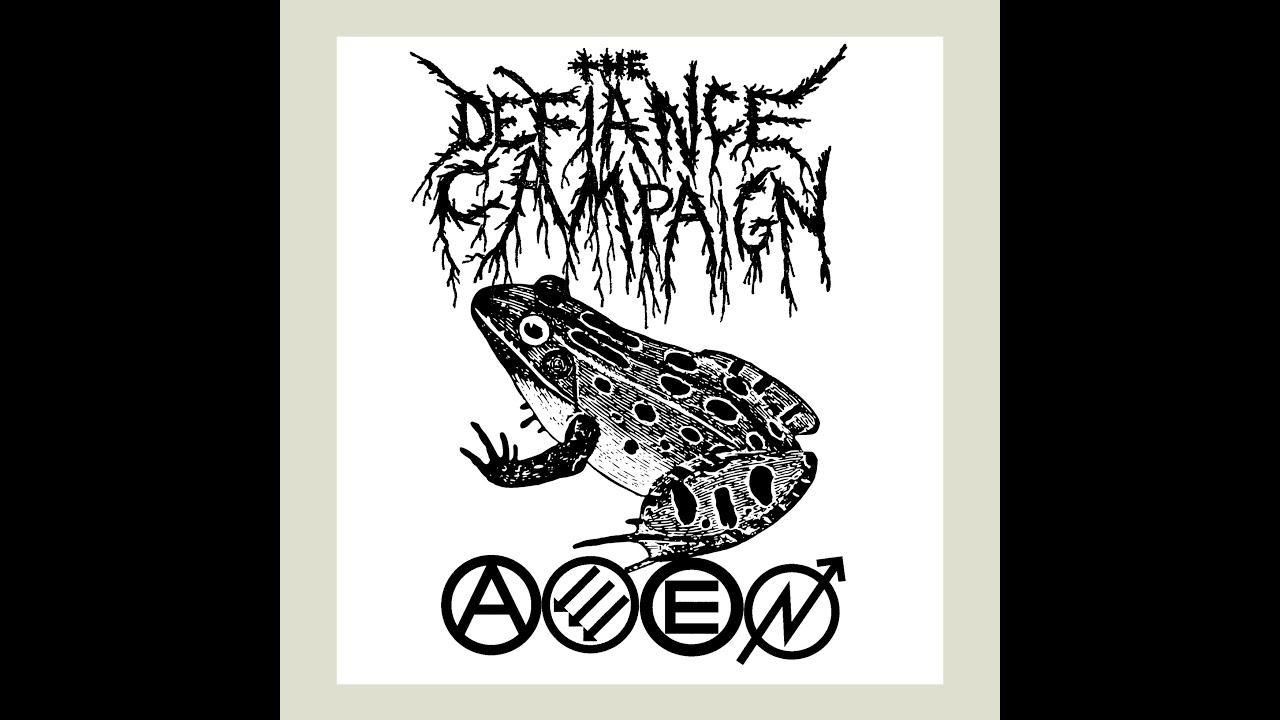 Frog - The Defiance Campaign - YouTube