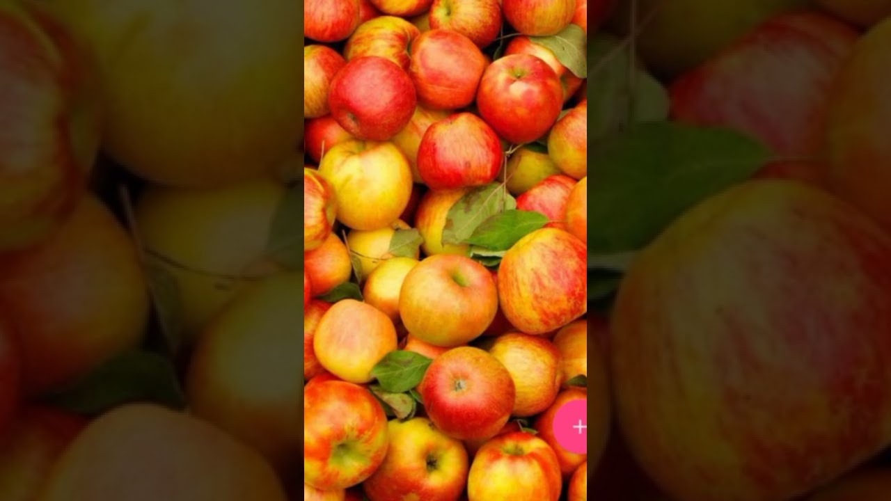 Apple # short # video - YouTube