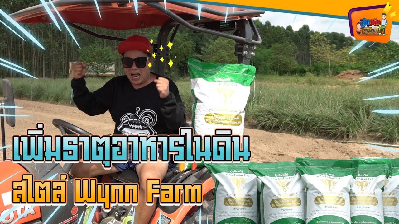เพิ่มธาตุในดิน สไตล์ Wynn Farm- สูงเตี้ยเรี่ยดิน EP.62 - YouTube