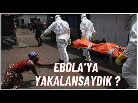 Ebola'ya Yakalansaydık NE OLURDU  ? | Koşullu Gerçekler