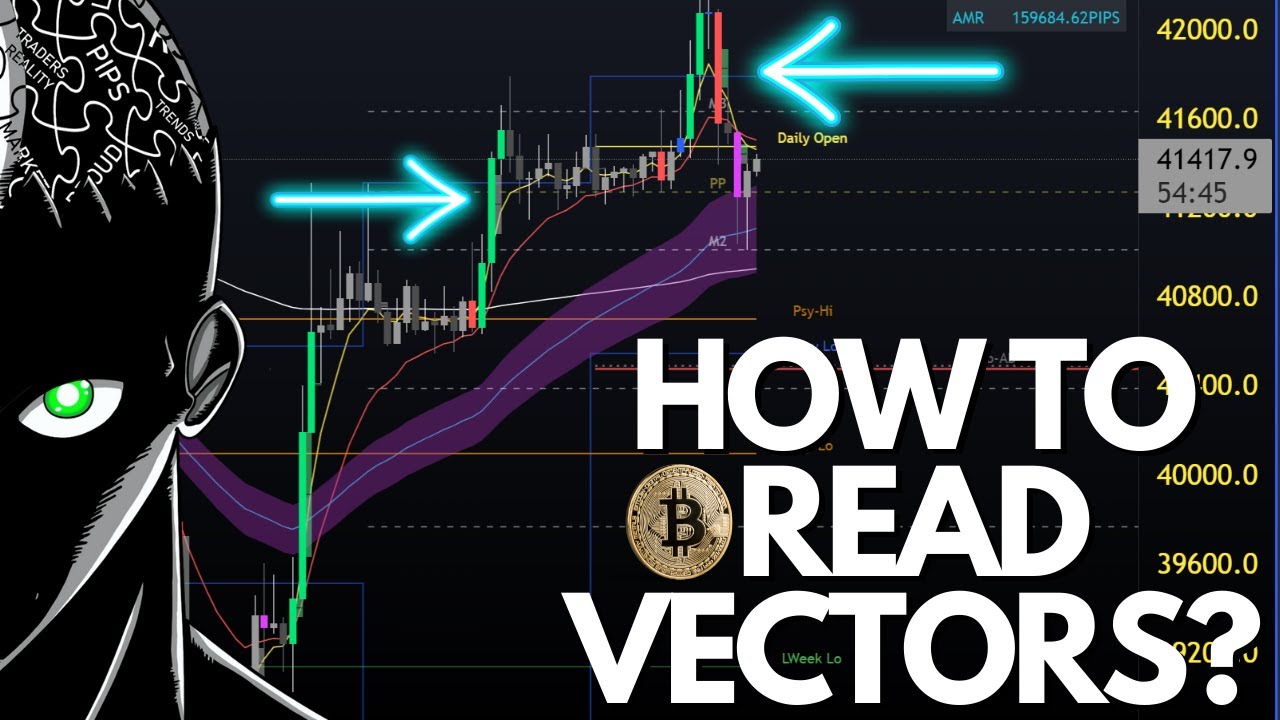 BITCOIN: How To Read Vectors? - YouTube