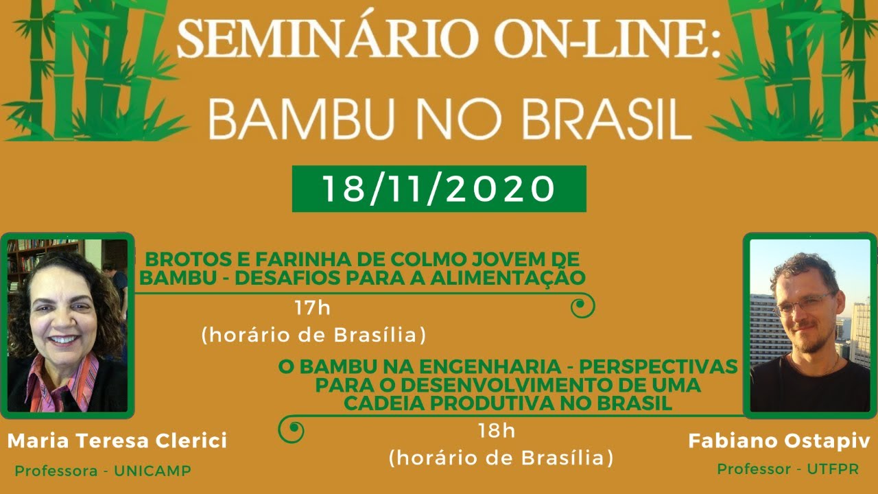 BROTOS E FARINHA DE COLMO JOVEM DE BAMBU / BAMBU NA ENGENHARIA ...