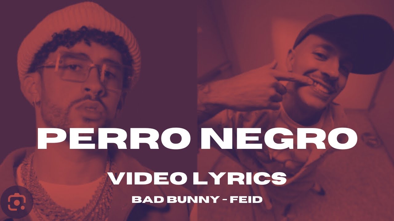 Bad Bunny ft. Feid - Perro Negro (Letra/Lyrics) - YouTube Music