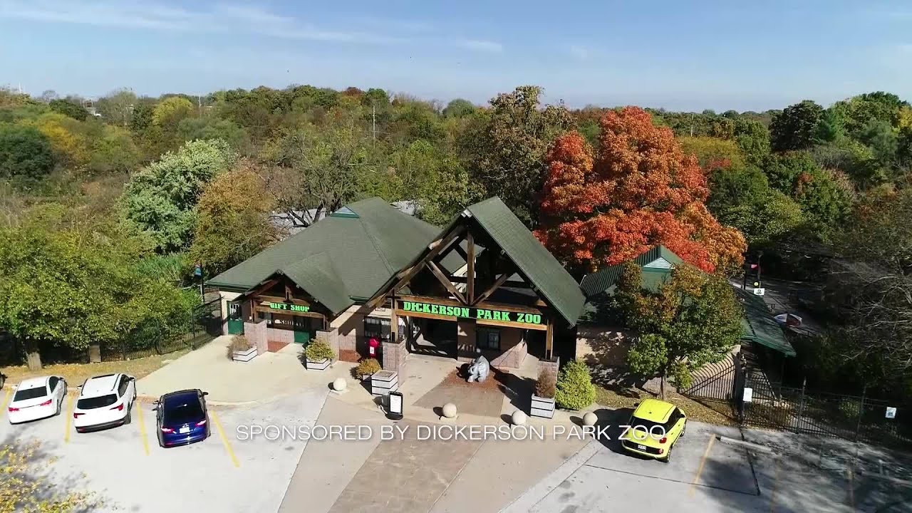 An update on the Dickerson Park Zoo's Observation Station remodel - YouTube