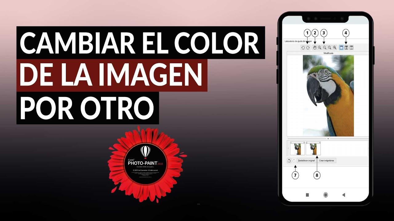 Cómo Cambiar el Color de la Imagen por Otro Usando Corel Photo Paint ...