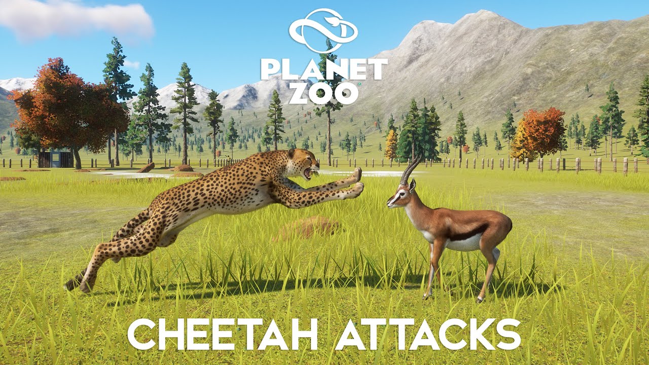Cheetah Attacks Compilation Including Zebra, Antelope, Buffalo & etc ...