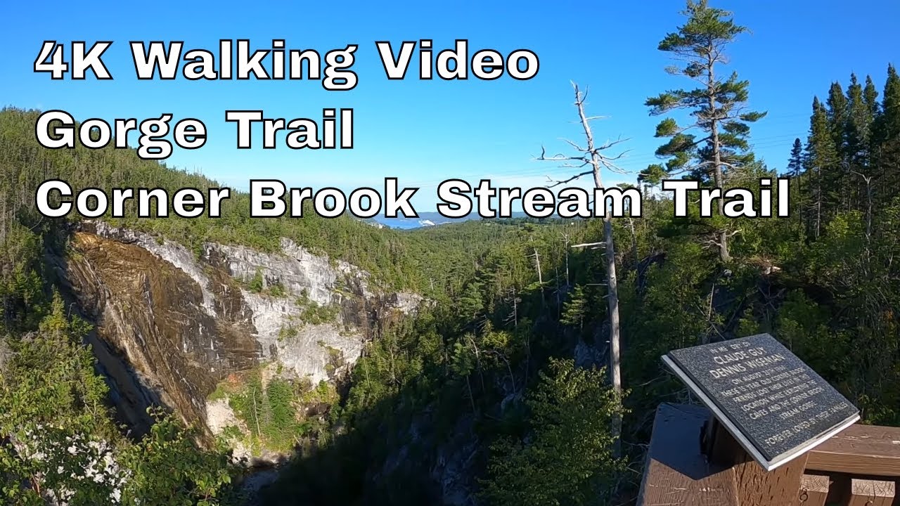 Tranquil Escapade: Exploring Corner Brook's Enchanting Gorge Bridge and ...